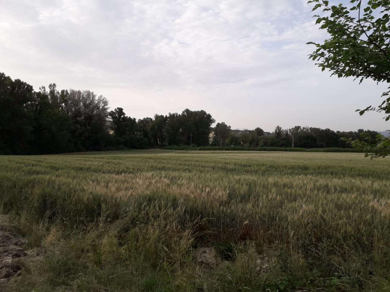 Terreno agricolo in vendita a Spoleto