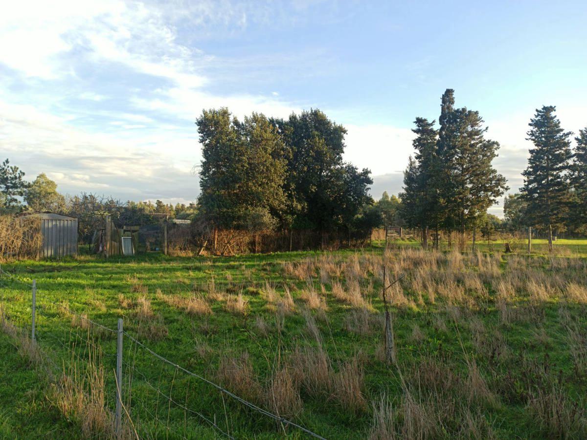 Terreno agricolo in vendita a Oristano