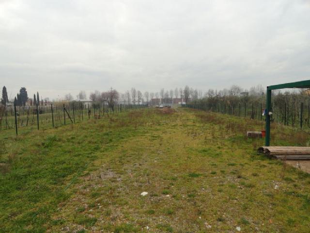 Terreno edificabile industriale in vendita a Porcari