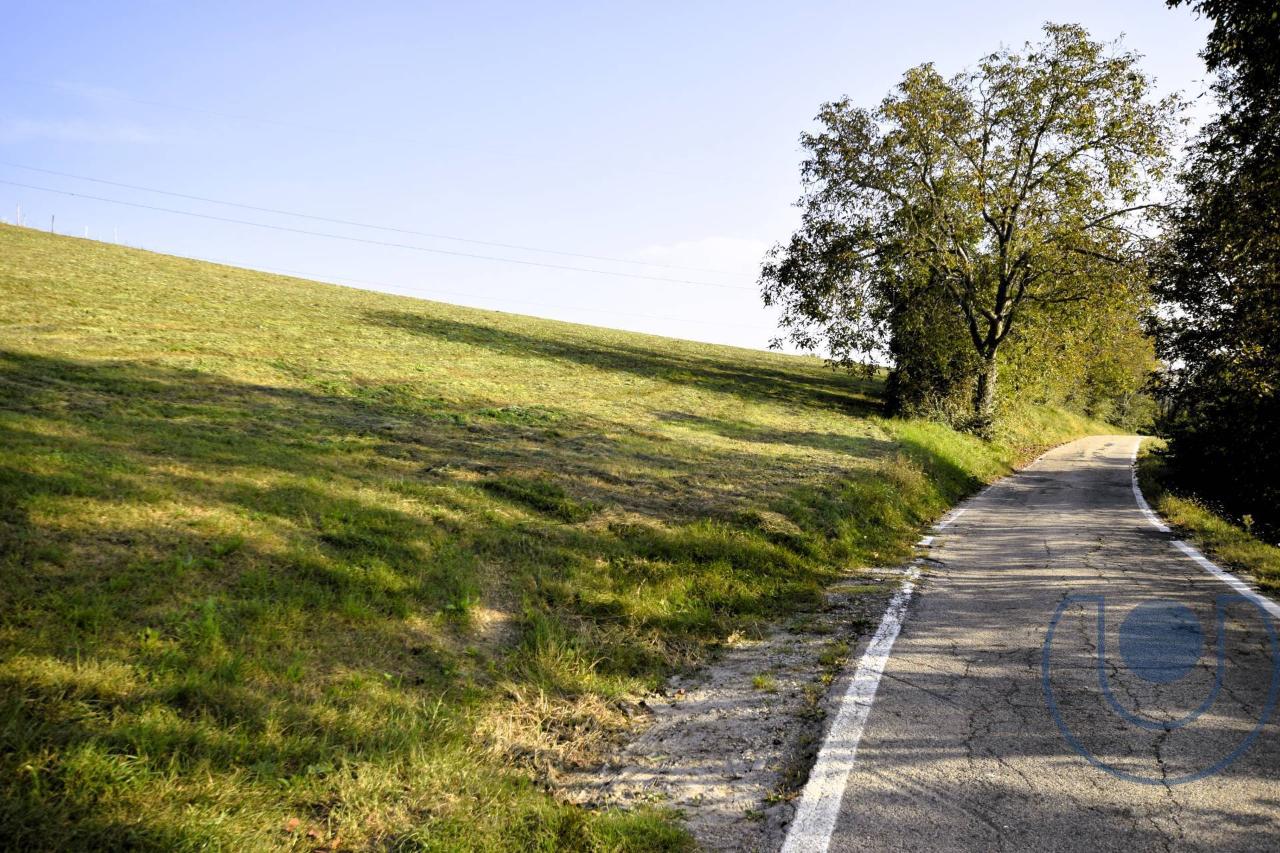 Terreno agricolo in vendita a Pino Torinese
