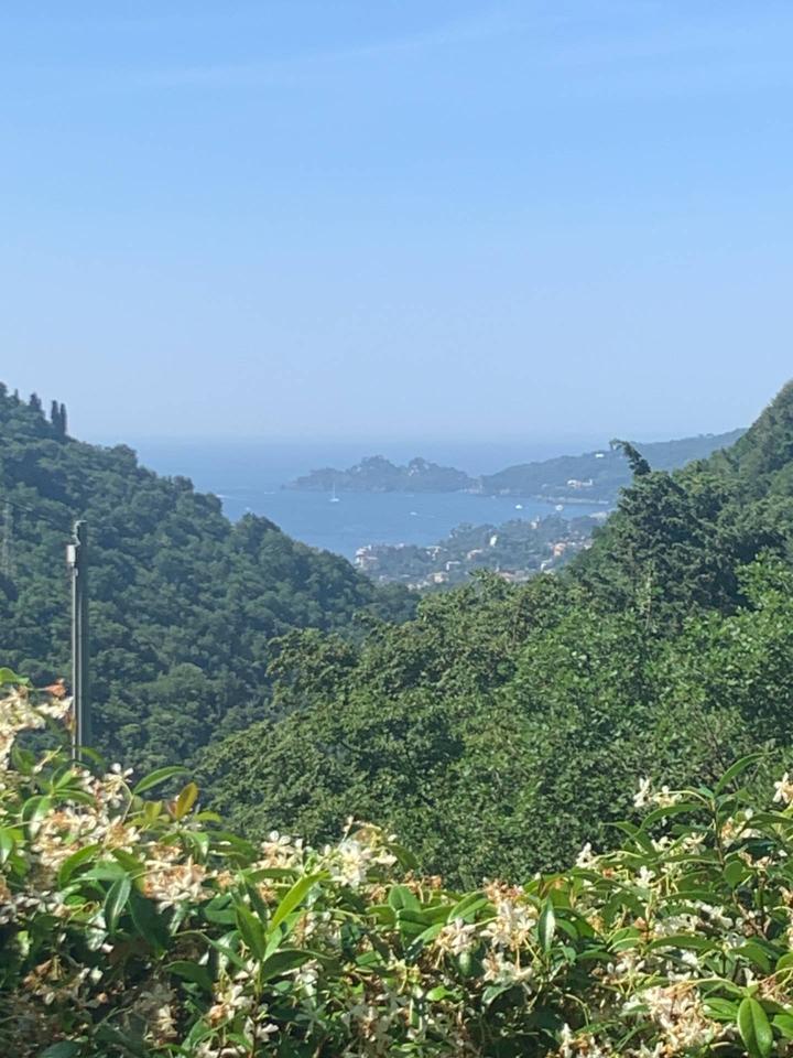 Appartamento in vendita a Rapallo