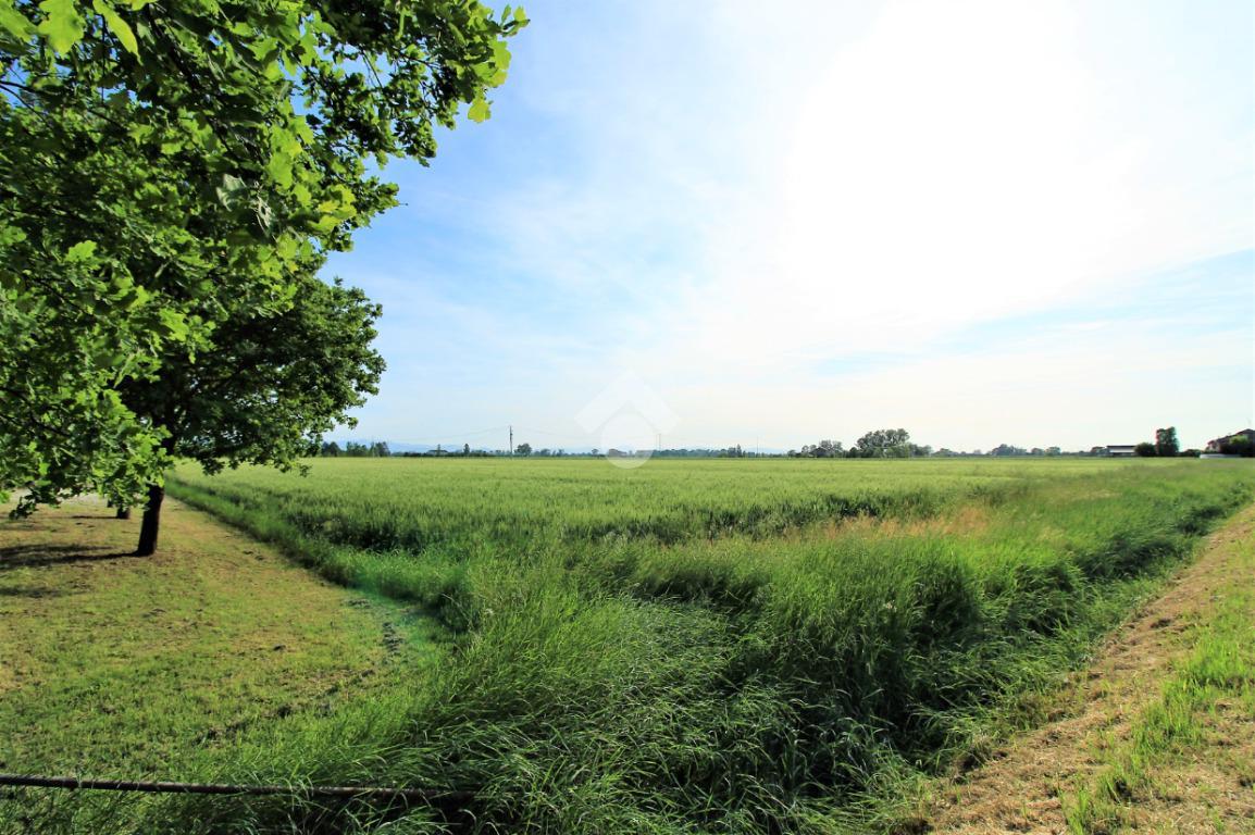 Terreno agricolo in vendita a Sorbolo Mezzani