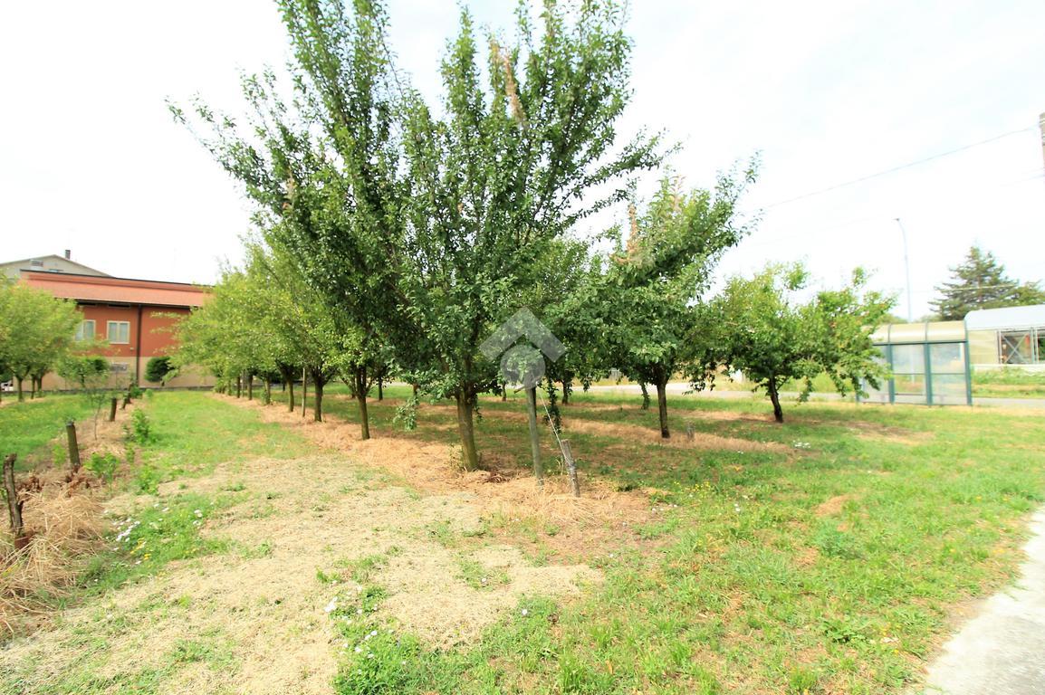 Terreno agricolo in vendita a Brescello