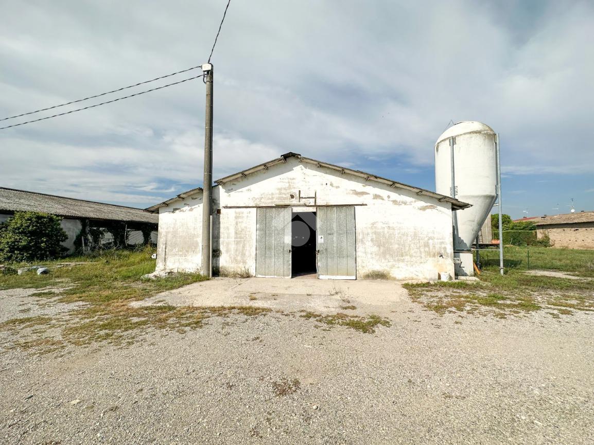 Capannone in affitto a Isorella