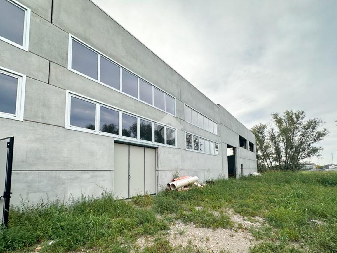 Capannone in affitto a Isorella