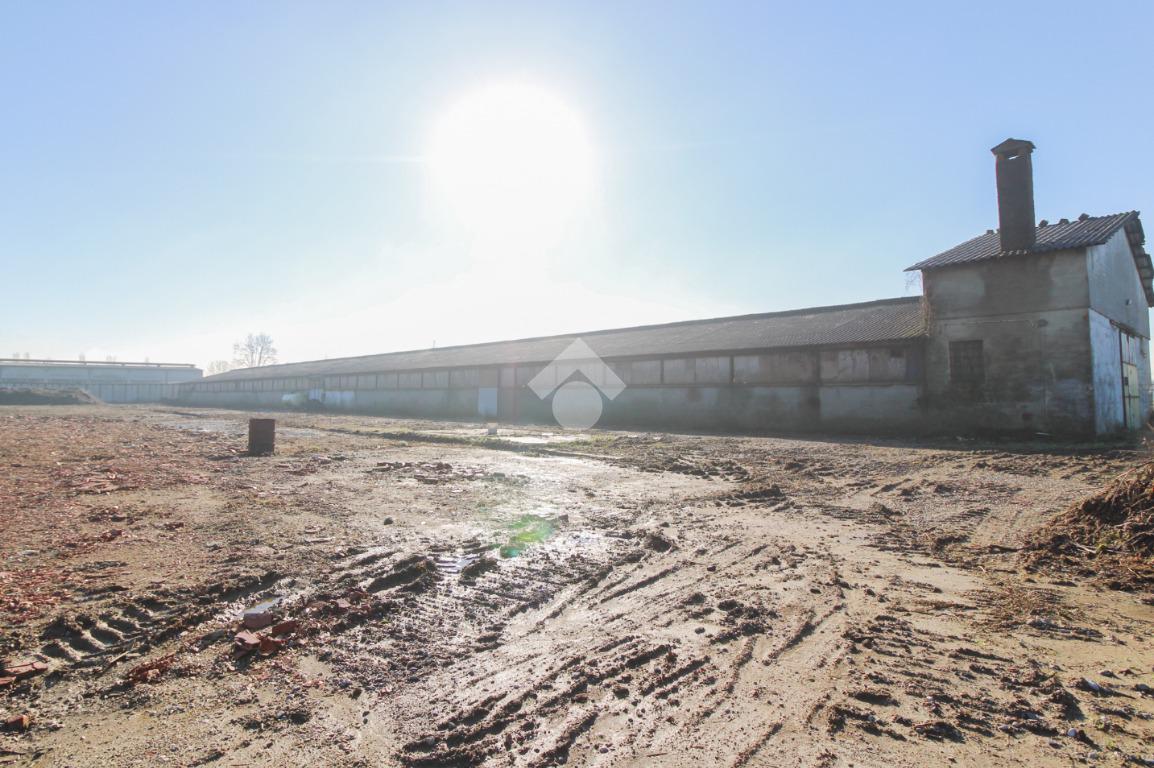 Capannone in vendita a Alfianello