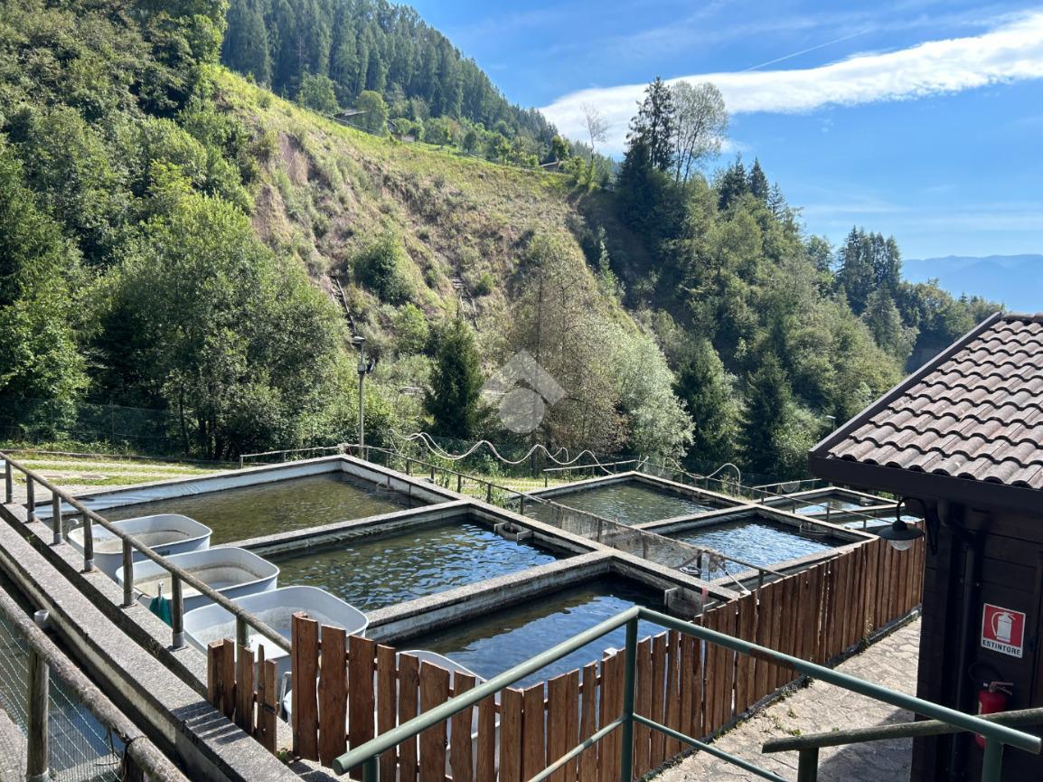 Palazzina commerciale in vendita a Borno