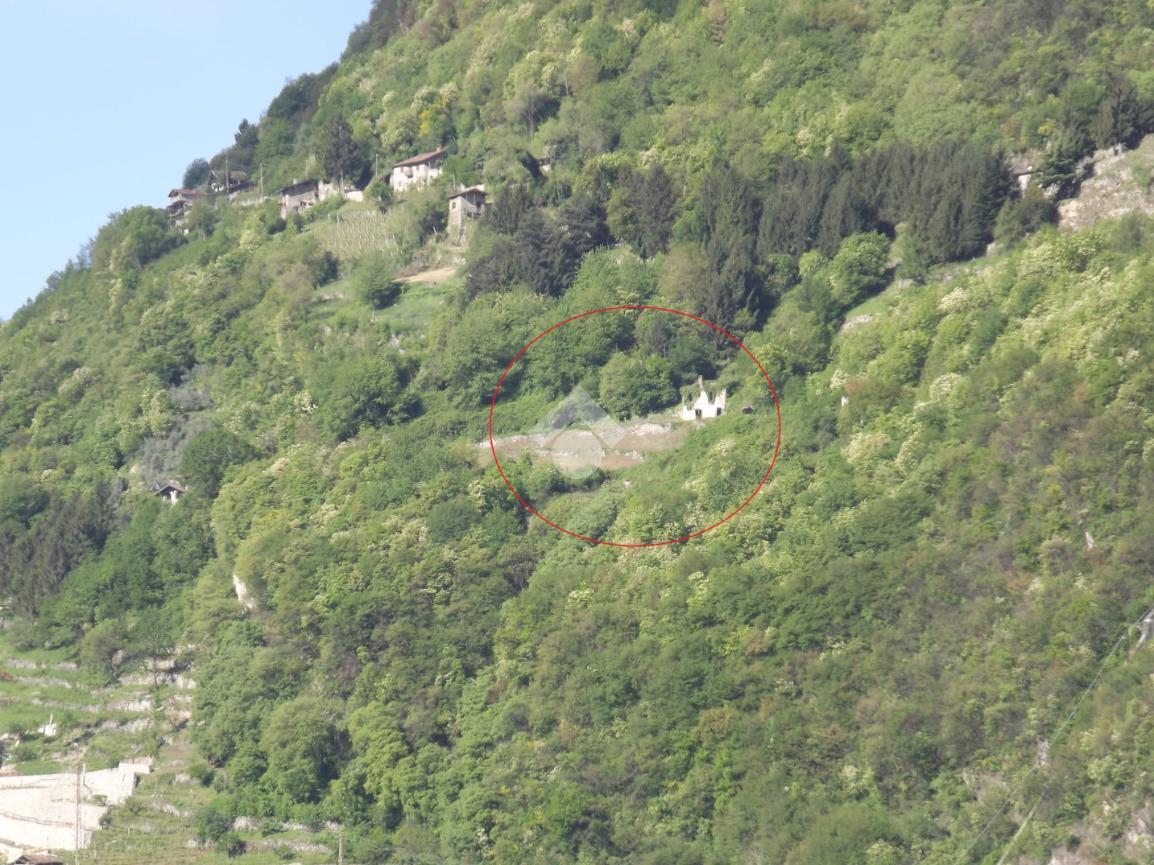 Terreno agricolo in vendita a Piancogno