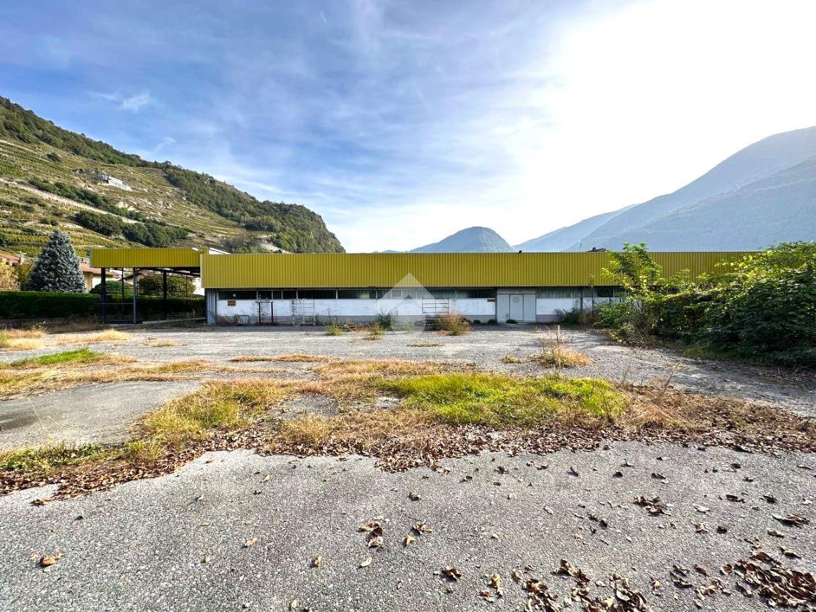 Capannone in vendita a Teglio