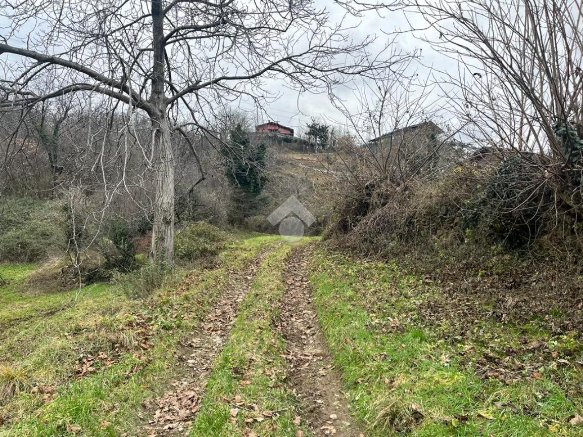 Terreno agricolo in vendita a Angolo Terme