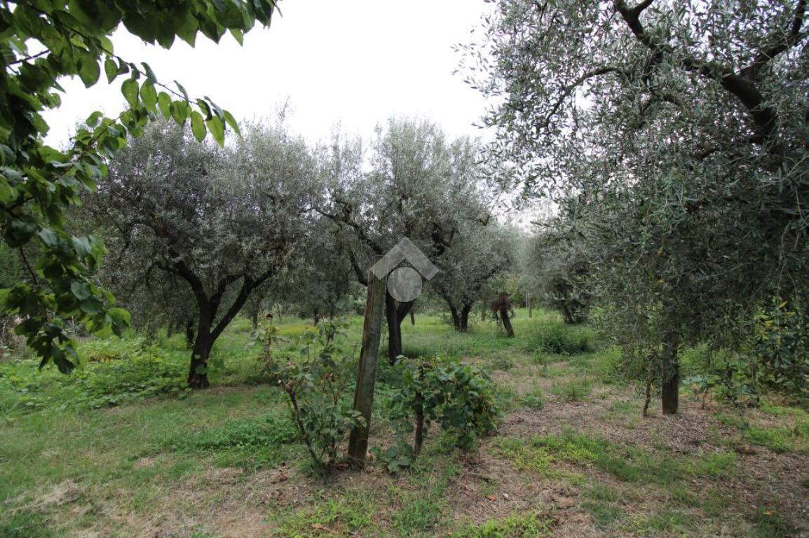 Terreno agricolo in vendita a Montopoli Di Sabina
