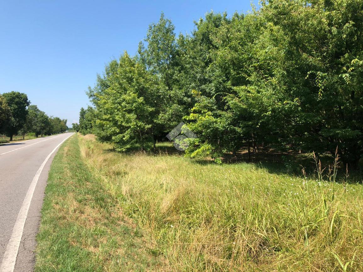 Terreno agricolo in vendita a Castello Di Godego