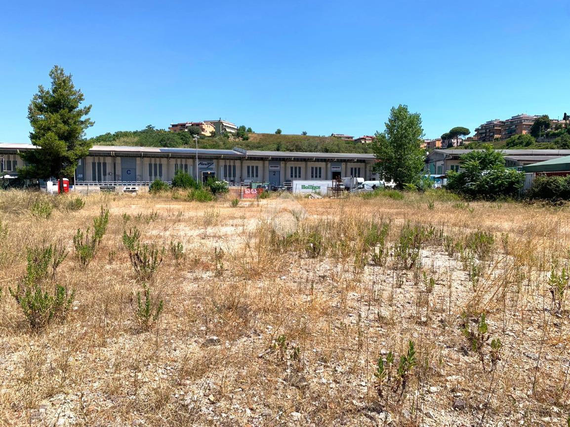 Terreno agricolo in affitto a Roma