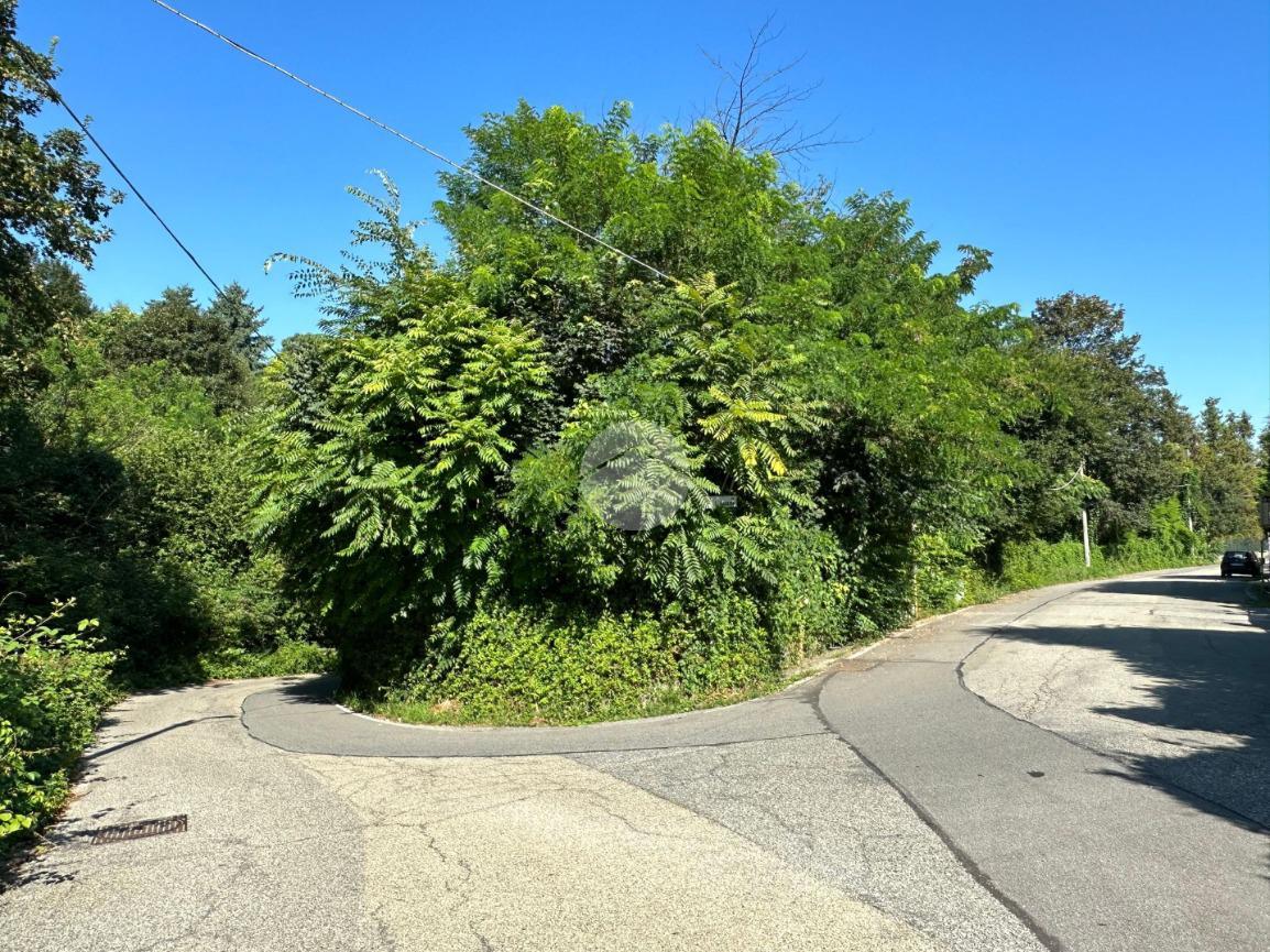 Terreno agricolo in vendita a Torino