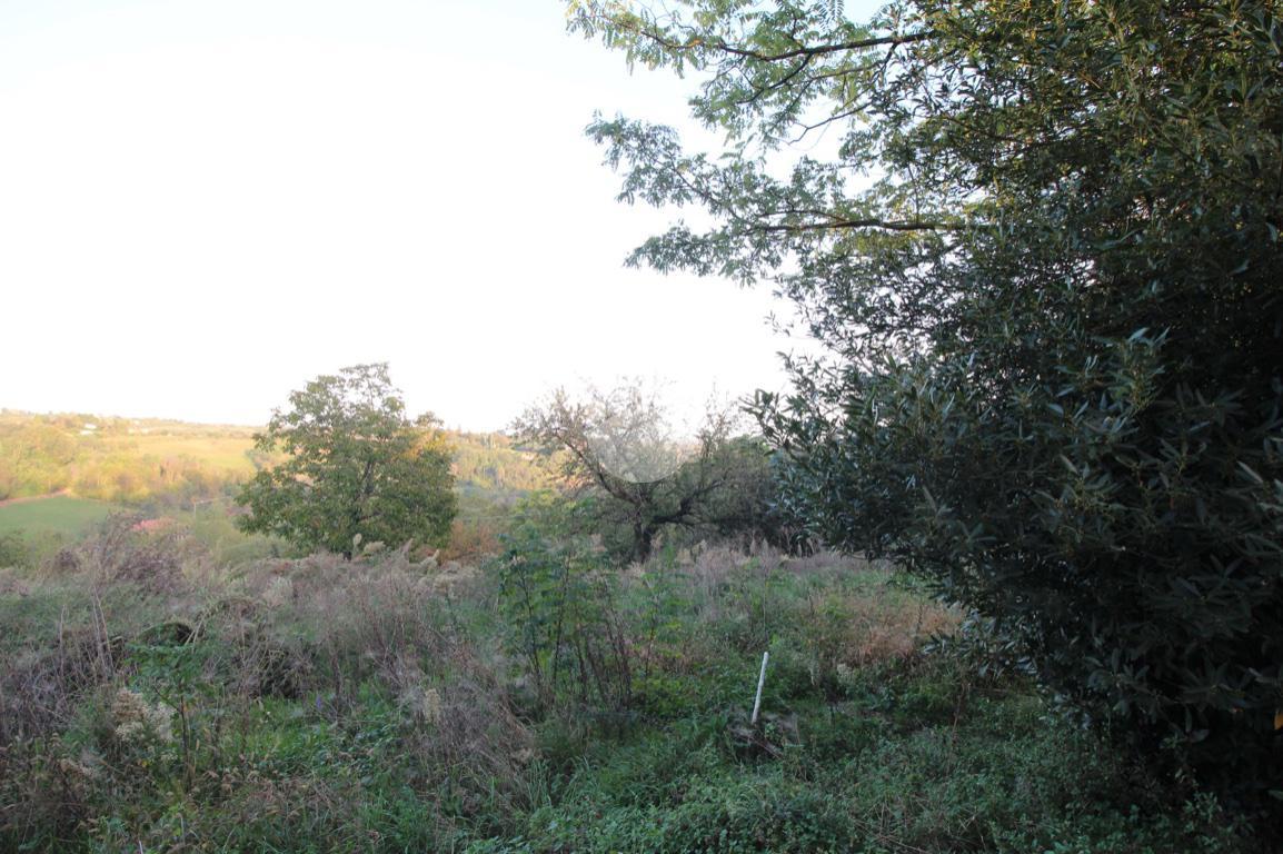 Terreno agricolo in vendita a Moncalieri