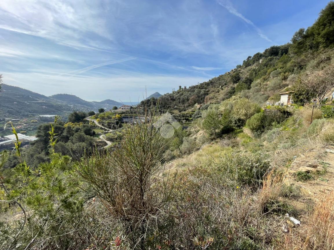 Terreno edificabile in vendita a Soldano