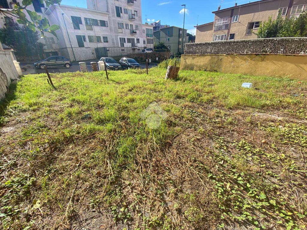Terreno agricolo in vendita a Napoli