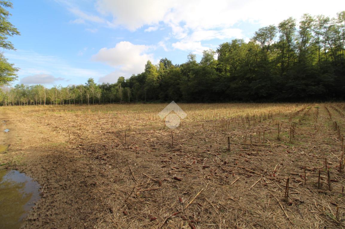 Terreno agricolo in vendita a Salussola