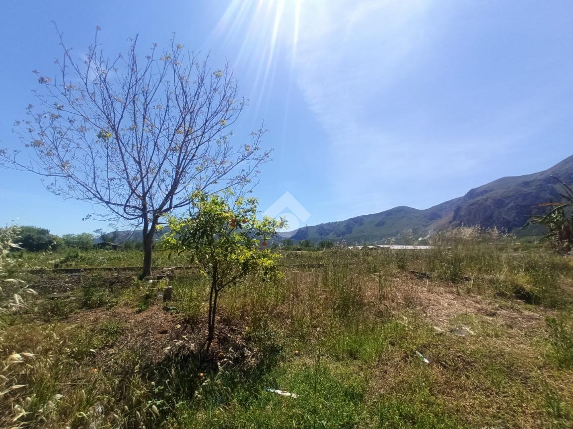 Terreno agricolo in affitto a Palermo
