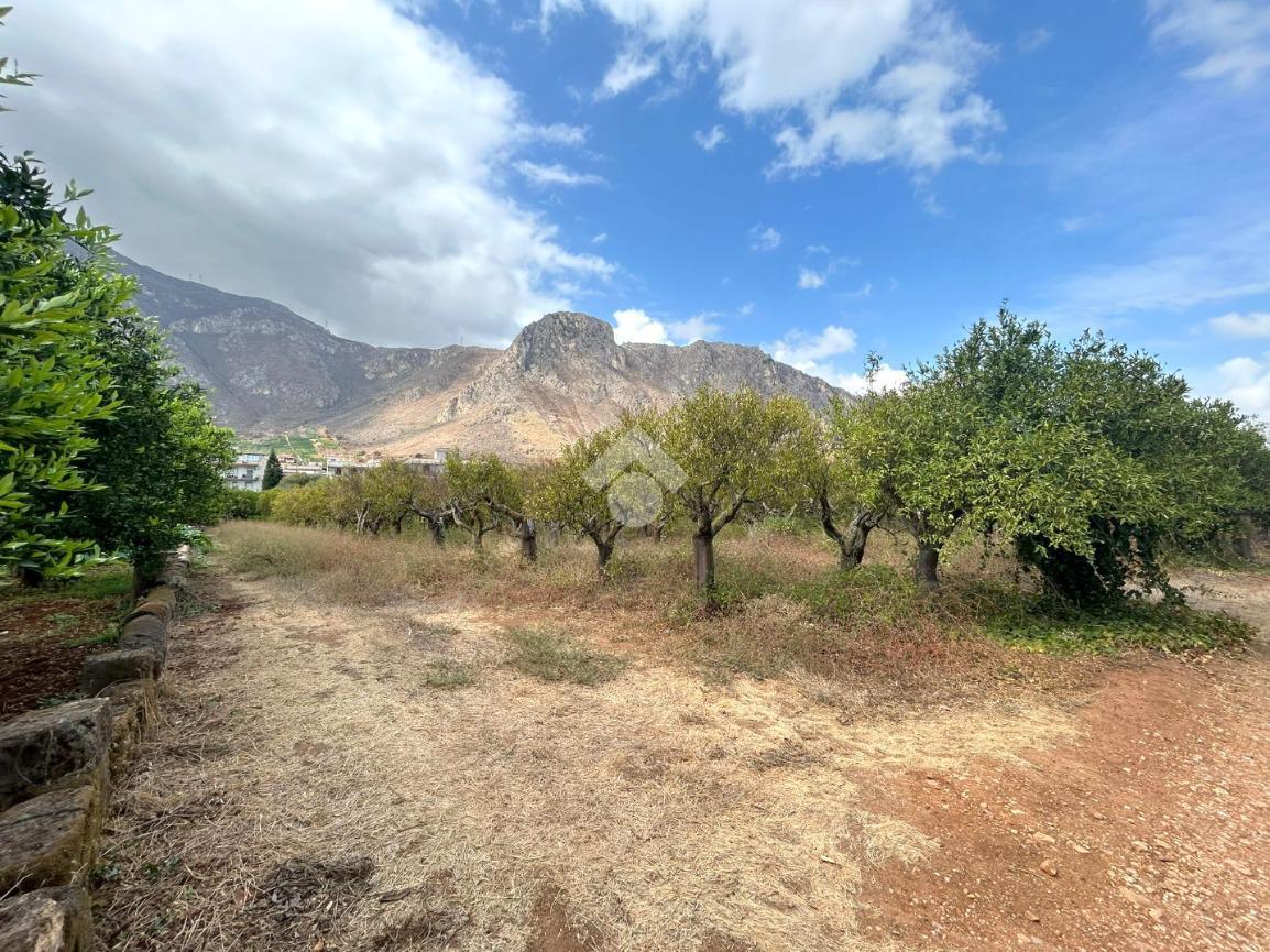 Terreno agricolo in vendita a Palermo