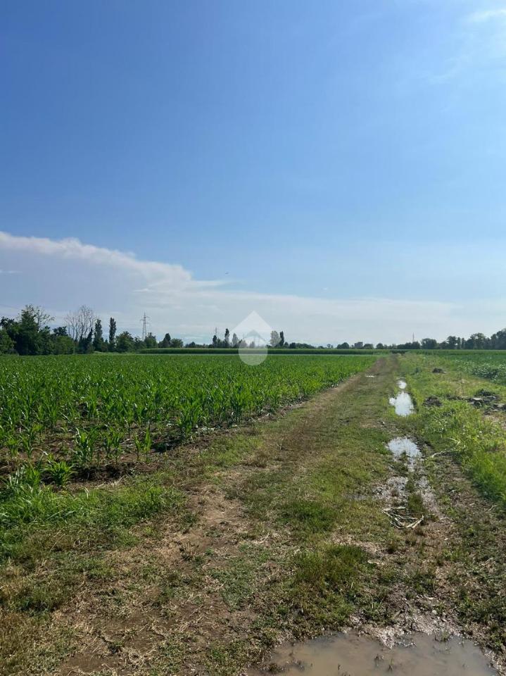 Terreno agricolo in vendita a Mozzanica