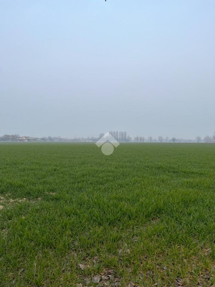 Terreno edificabile in vendita a Pianiga