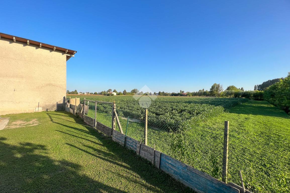 Casa indipendente in vendita a Pianiga