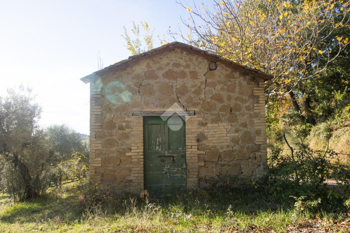 Terreno agricolo in vendita a Torri In Sabina