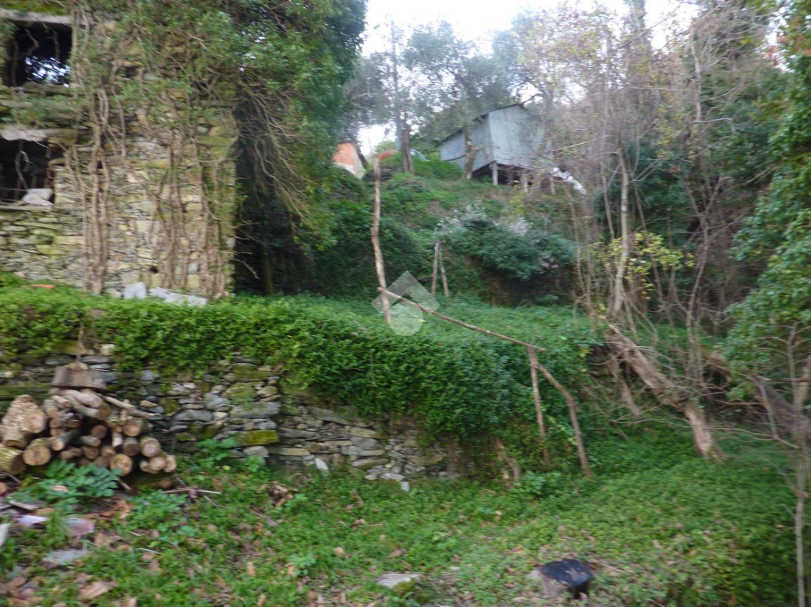 Rustico in vendita a Carasco