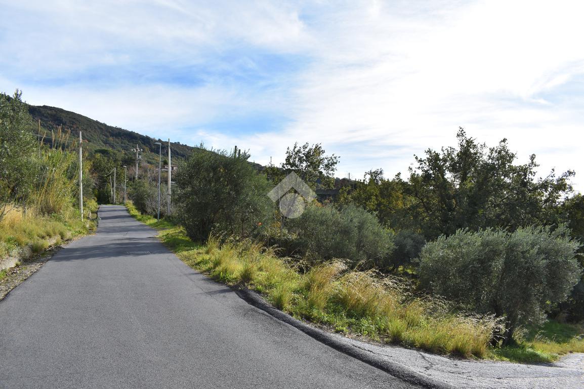 Terreno agricolo in vendita a Paola