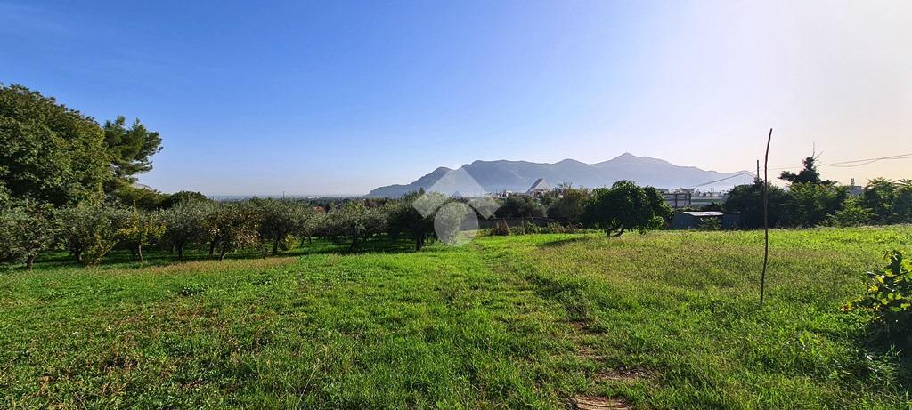 Terreno agricolo in vendita a Palermo