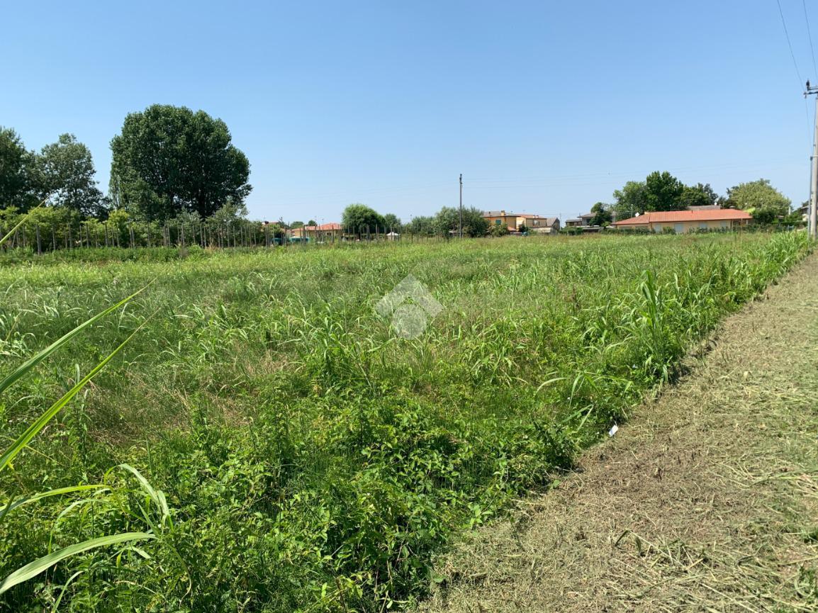 Terreno edificabile in vendita a Boara Pisani
