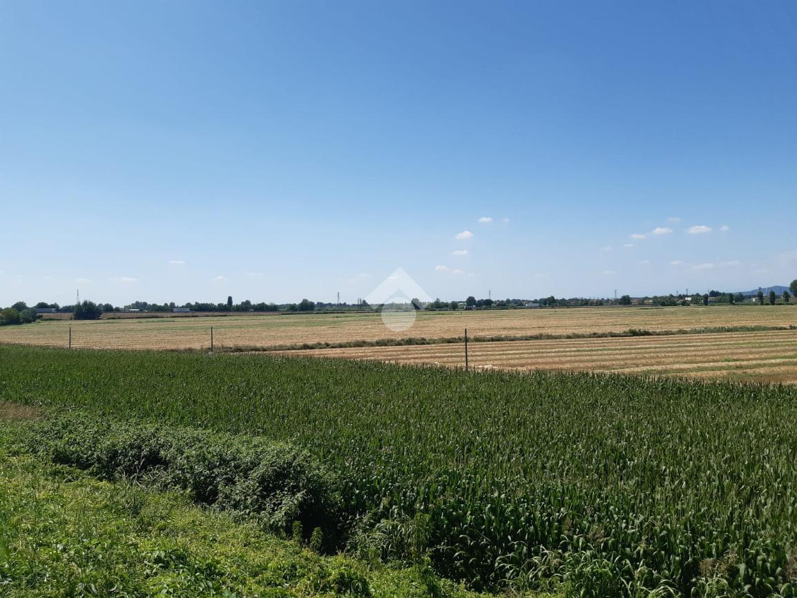 Terreno agricolo in vendita a Stanghella