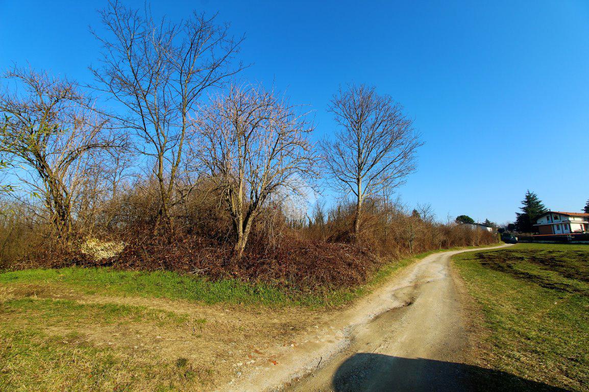 Terreno agricolo in vendita a Briosco