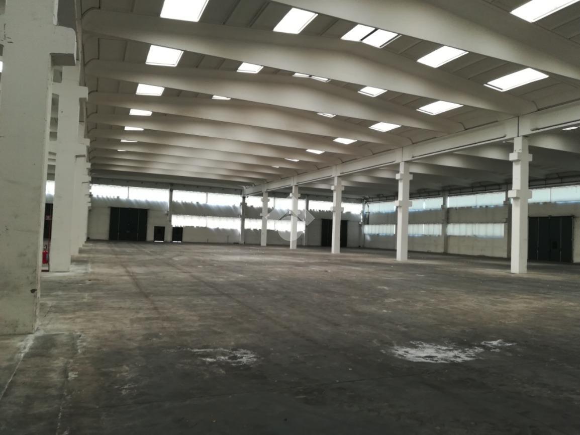 Capannone in affitto a Buscate