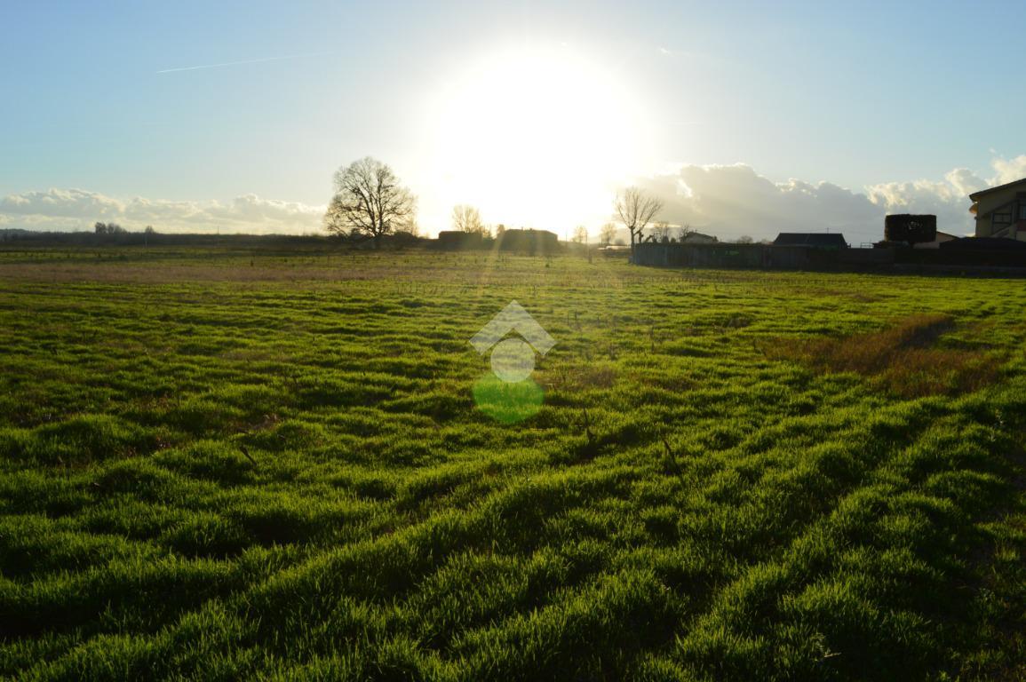 Terreno agricolo in vendita a Ponte Buggianese