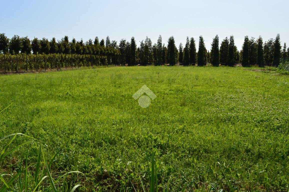Terreno edificabile in vendita a Ponte Buggianese
