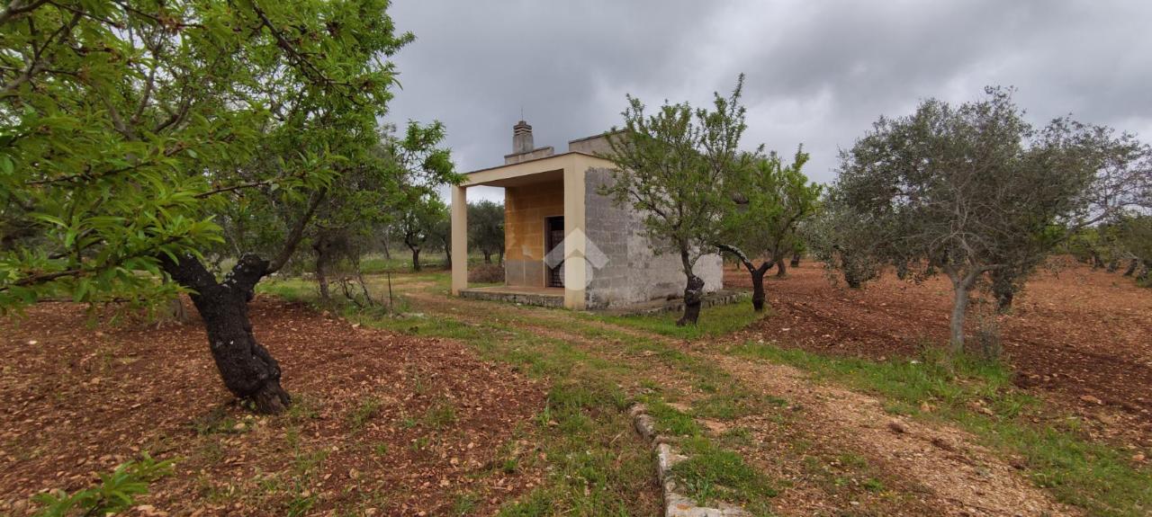 Terreno agricolo in vendita a Gioia Del Colle