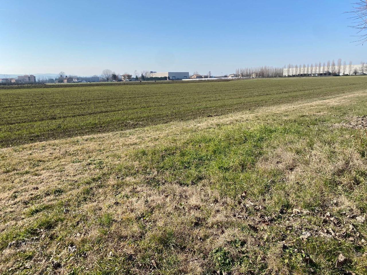 Terreno agricolo in vendita a Reggio Emilia