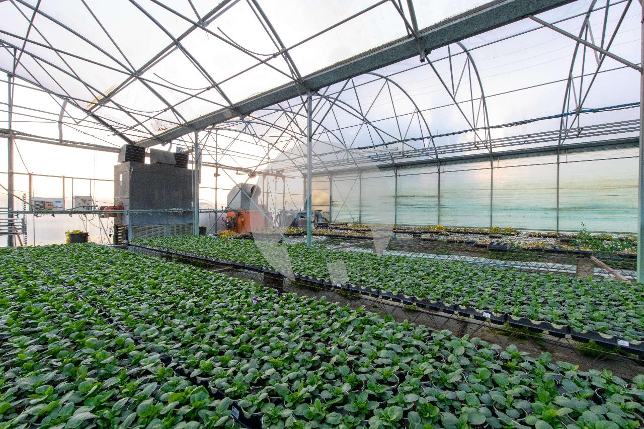 Terreno agricolo in vendita a Brescello