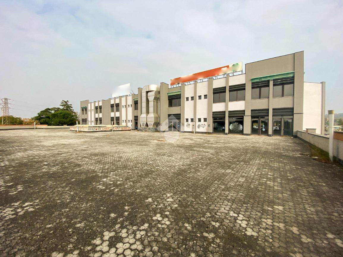 Ufficio in affitto a San Martino Buon Albergo