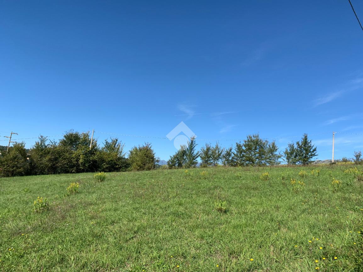 Terreno agricolo in Via Tirlo Valloni, Casalvieri