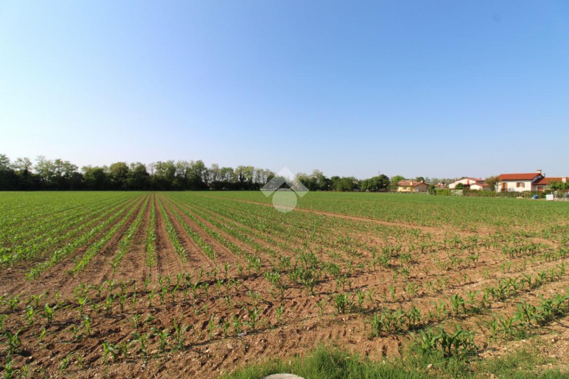 Terreno edificabile in vendita a Cassola