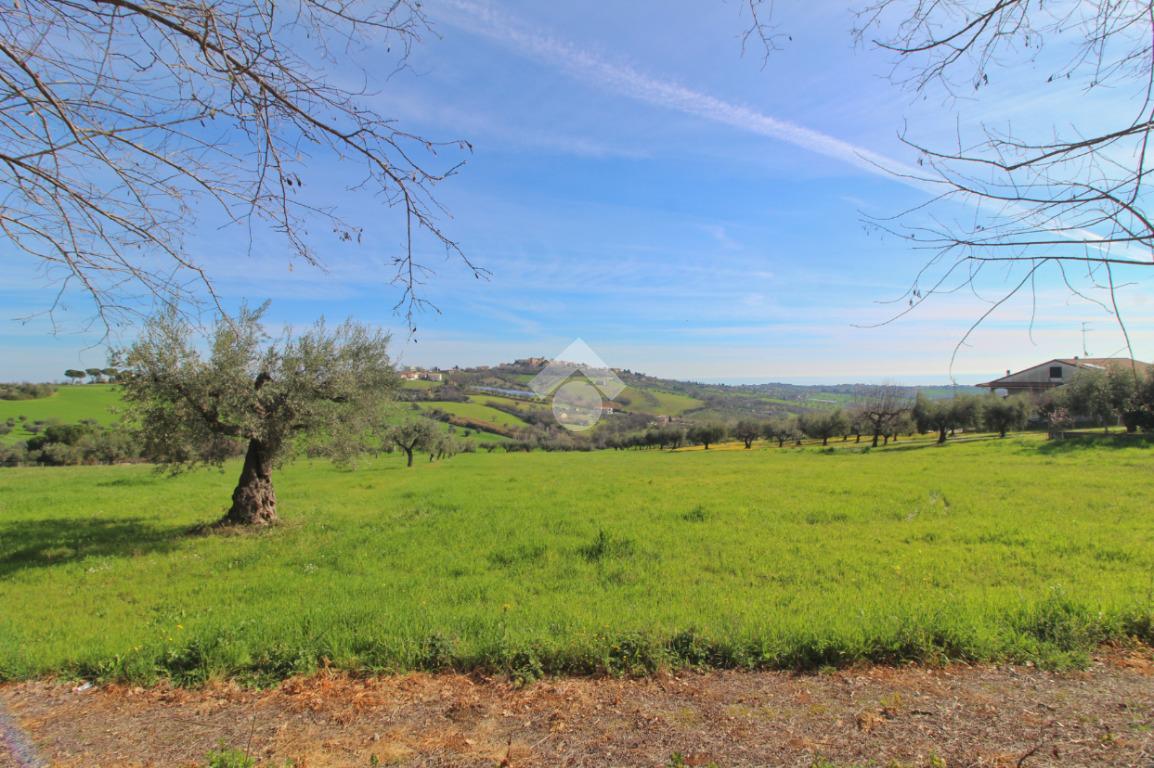 Terreno edificabile in vendita a Mosciano Sant'Angelo