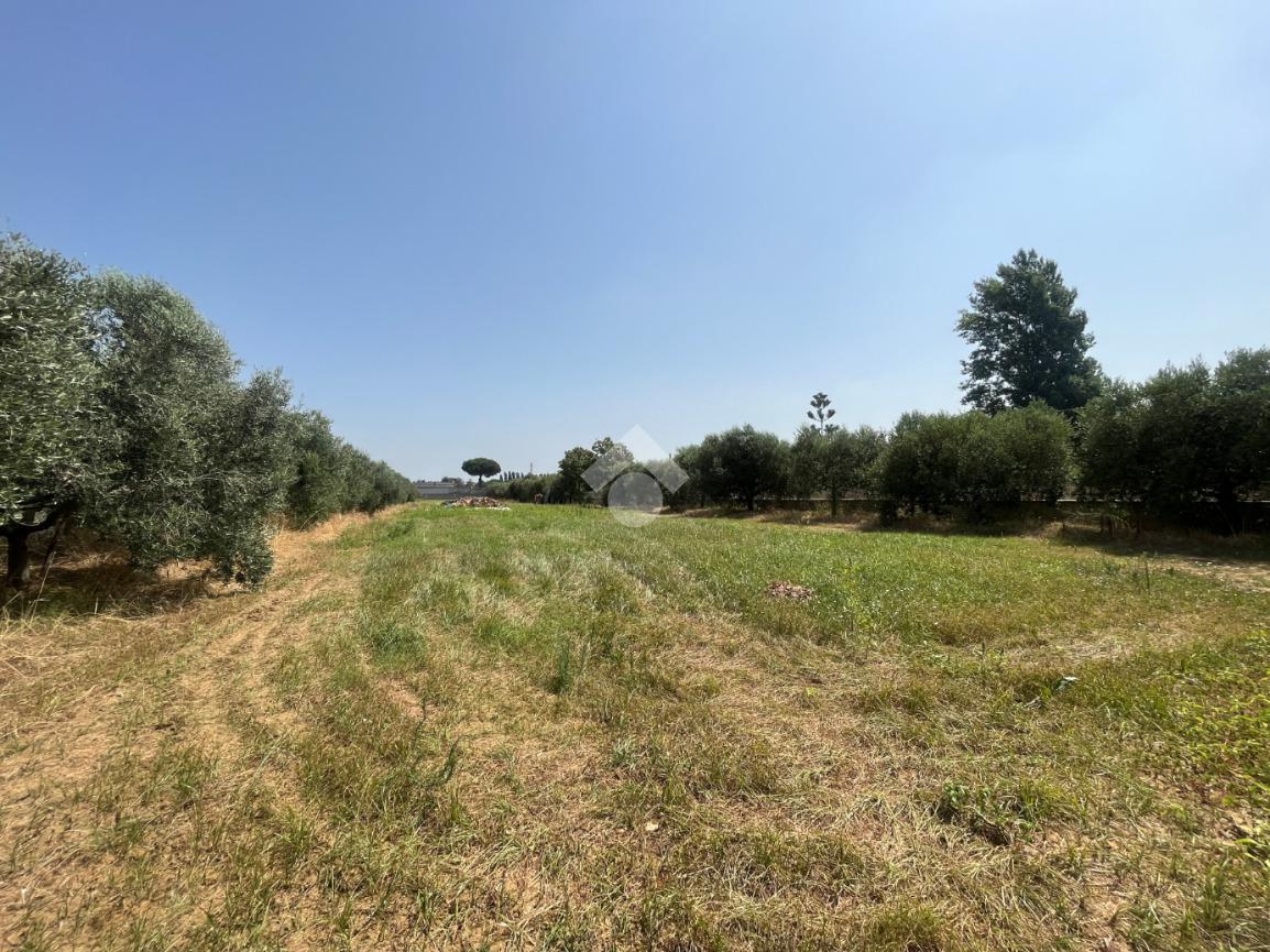 Terreno agricolo in vendita a Nettuno