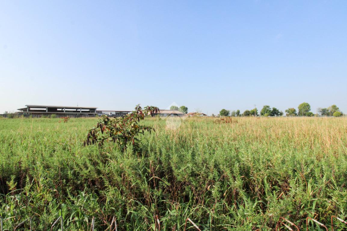 Terreno edificabile in vendita a Travagliato