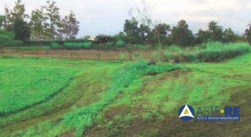 Terreno agricolo in vendita a Campi Bisenzio