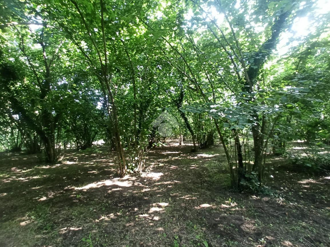 Terreno agricolo in vendita a Capriglia Irpina