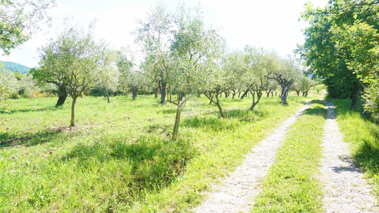 Terreno agricolo in vendita a Montecorvino Rovella