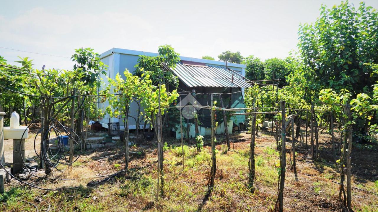 Terreno agricolo in vendita a Pontecagnano Faiano